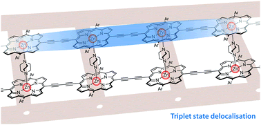 Photogenerated triplet states in supramolecular porphyrin ladder ...