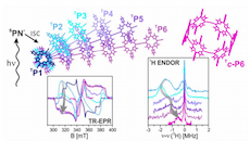 Transient EPR Reveals Triplet State Delocalization in a Series of ...